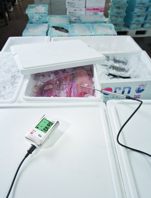 多機能 温度データロガーシリーズ testo 176 T1/T2/T3/T4【テストー】 | 日本電計株式会社が運営する計測機器、試験機器の総合展示会